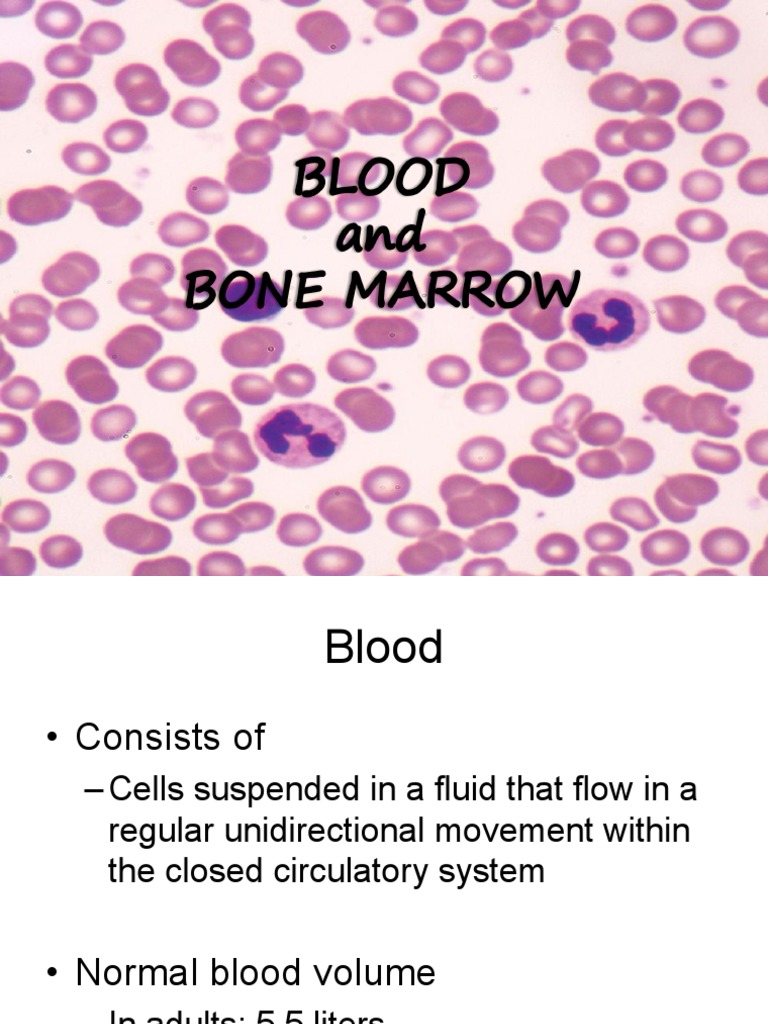 Blood and Bone Marrow | PDF | Blood Plasma | Bone Marrow