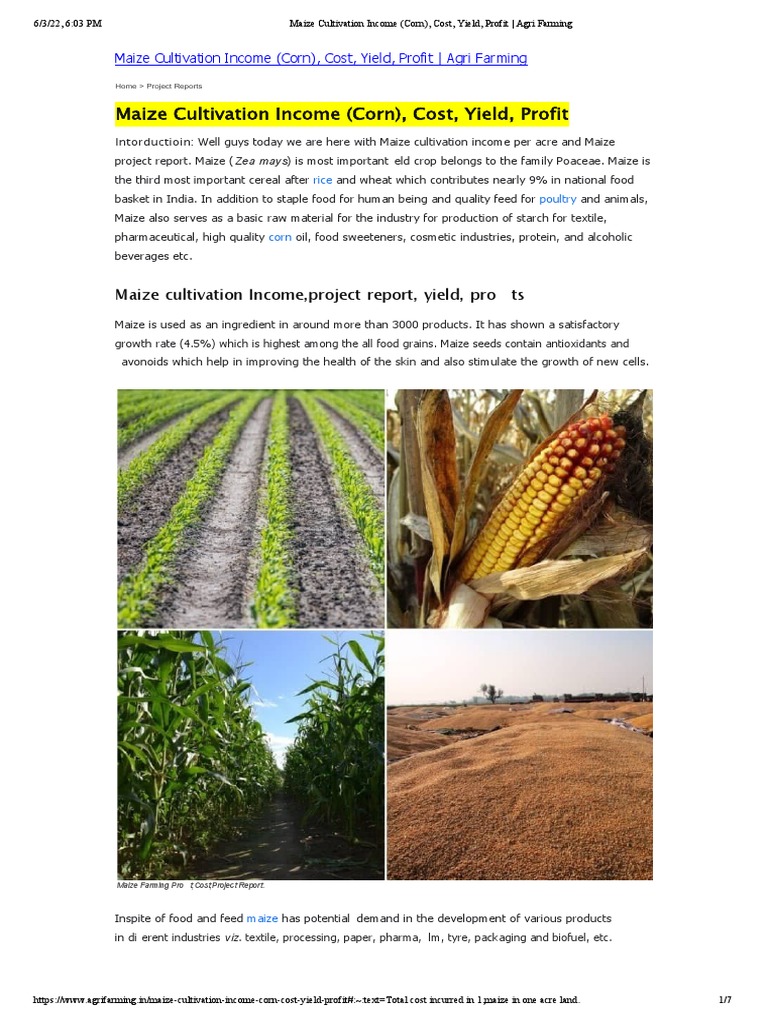Maize Farming Costs and Profits Guide | PDF | Agriculture | Maize