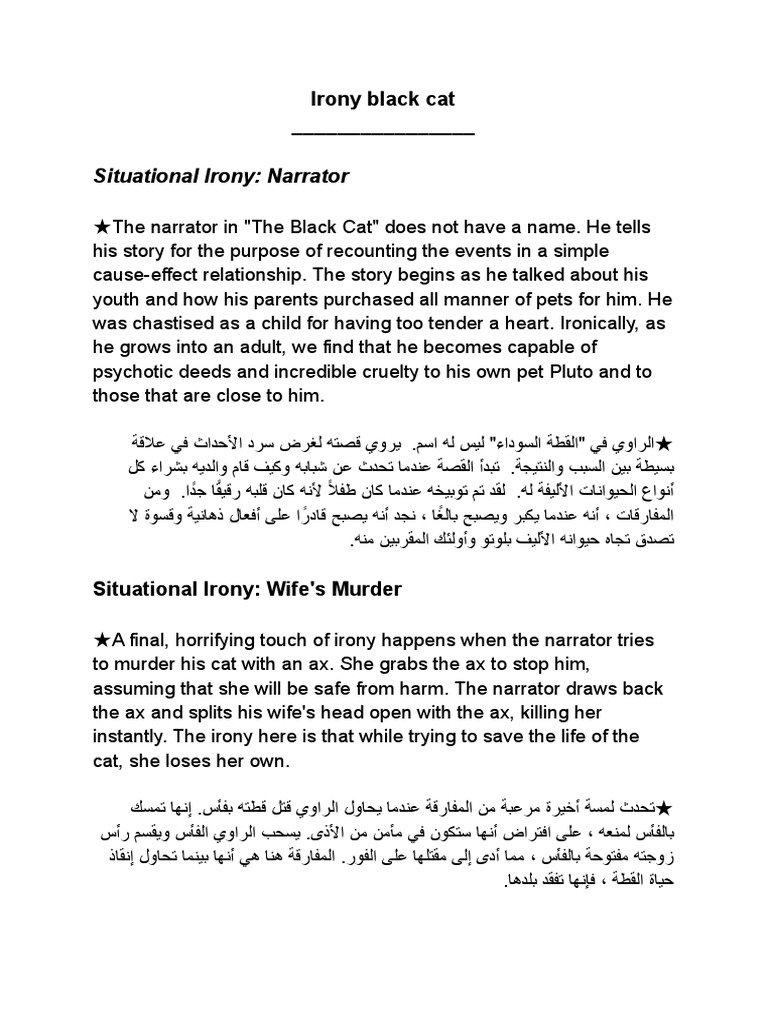 Irony Black Cat | PDF