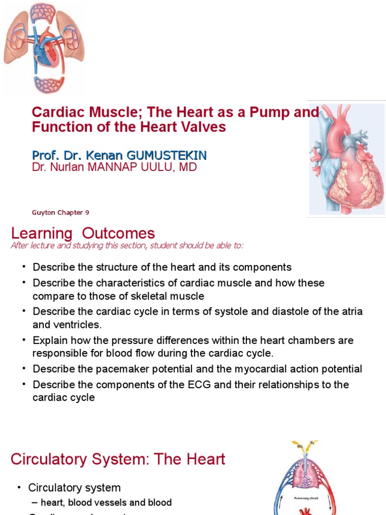 1.cardiac Muscle The Heart As A Pump and Function of The Heart Valves ...