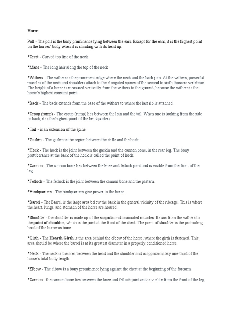 Horse Anatomy | PDF | Elbow | Shoulder