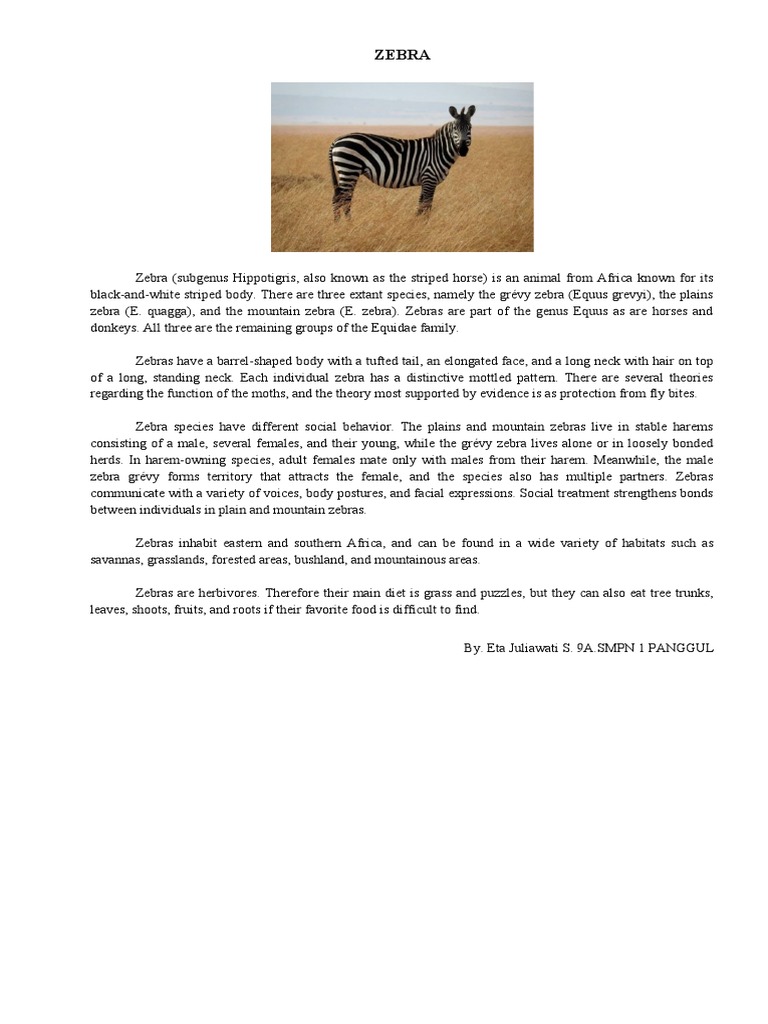 Zebra (3) OK | PDF | Science & Mathematics