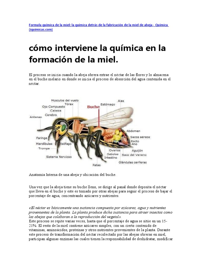 Formula Química de La Miel | PDF | Miel | Nutrientes