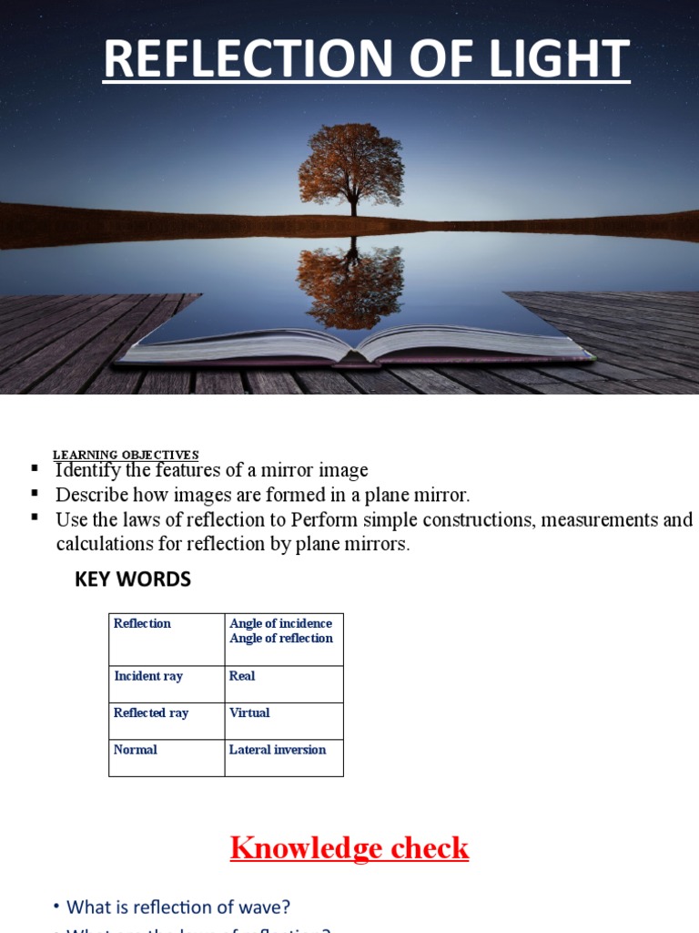 Reflection of Light | Download Free PDF | Mirror | Reflection (Physics)