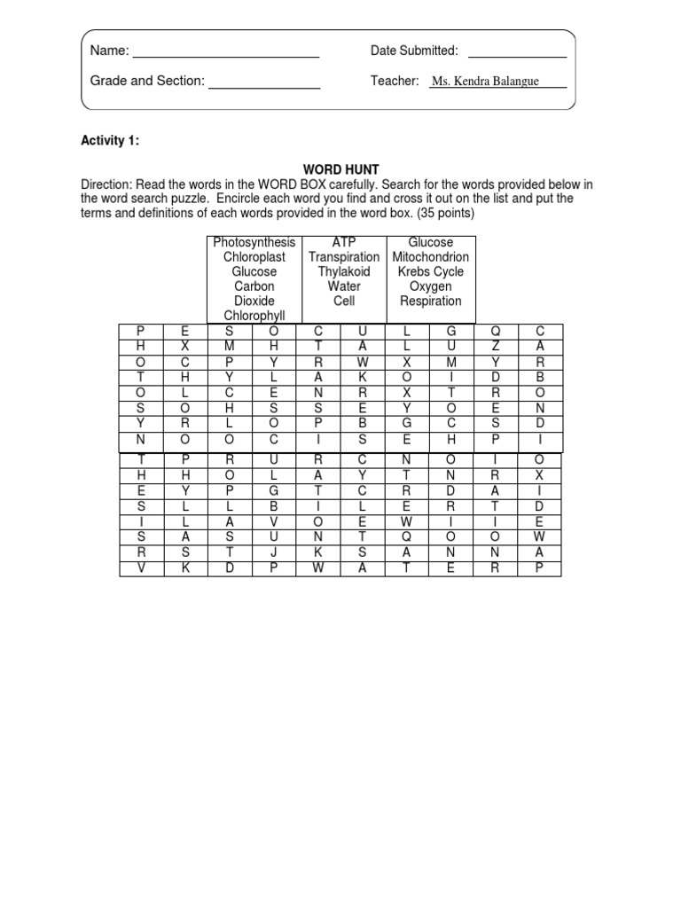 Photosynthesis Activity Worksheet | PDF | Chloroplast | Photosynthesis