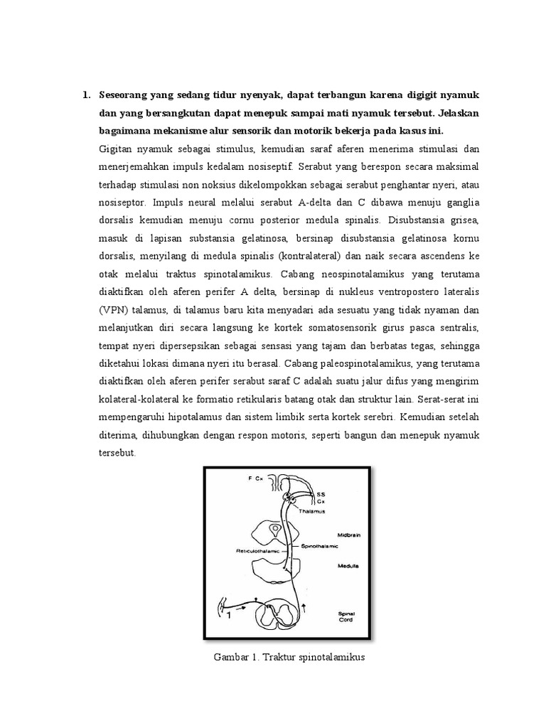 Tugas Pain | PDF | Pengembangan Diri
