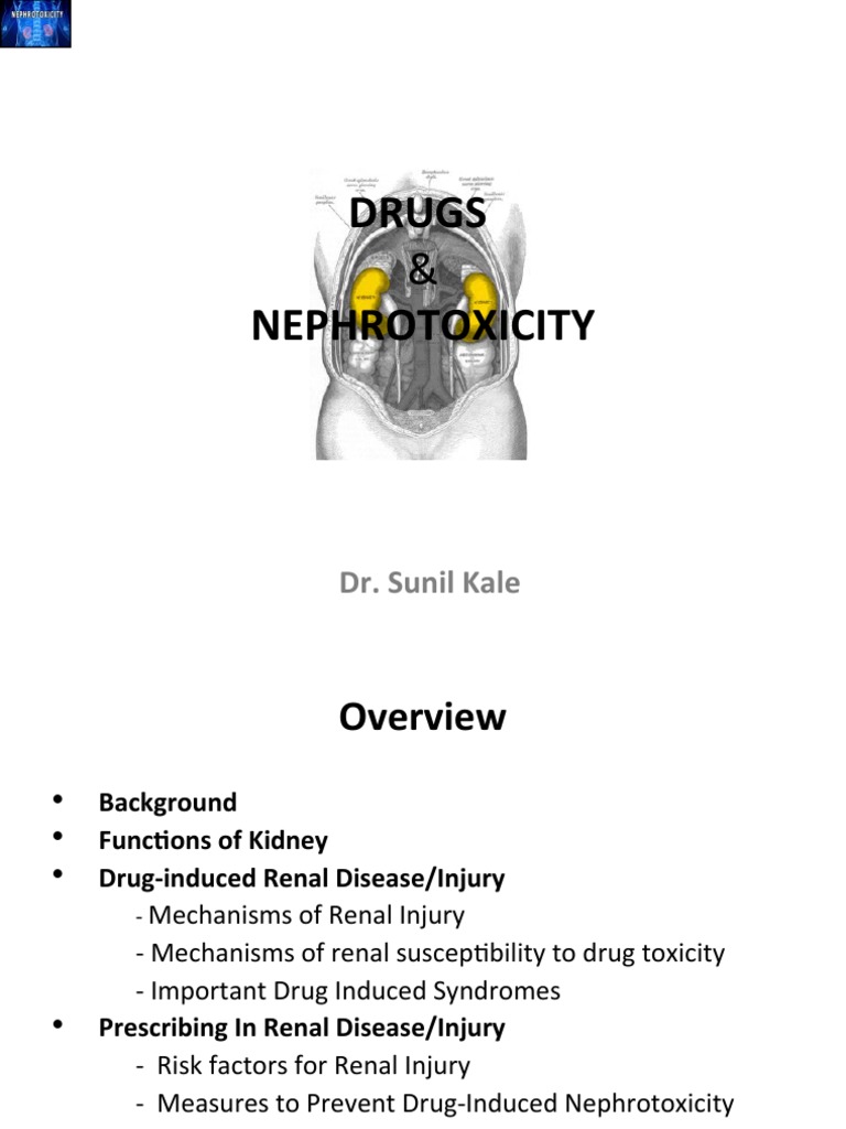 Drug - Nephrotoxicity - Dec - 2013.ppt Final | PDF | Kidney Disease ...