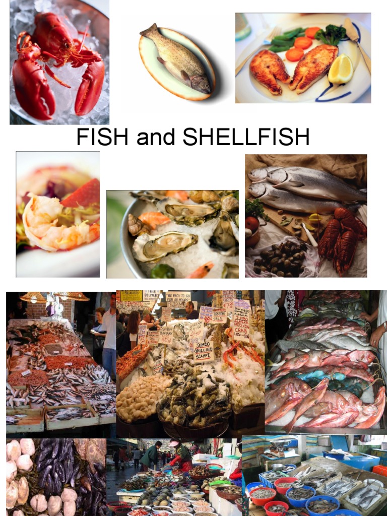 Fish and Shellfish | PDF | Bivalvia | Oyster