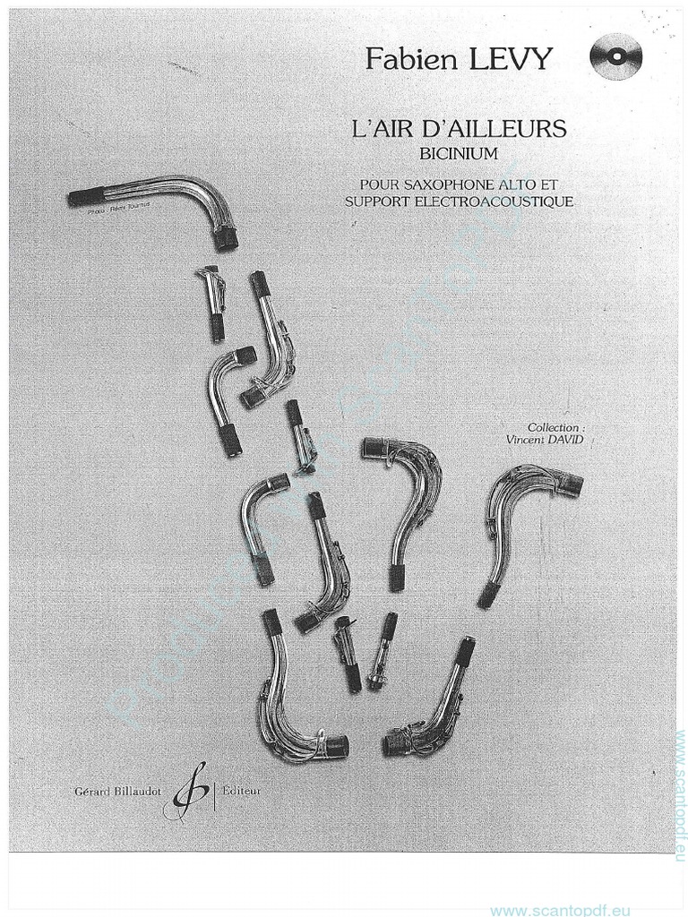 L Air D Ailleurs - Fabien Levy | PDF