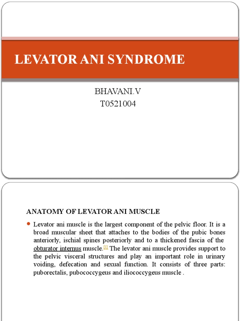 Levator Ani Syndrome | PDF | Medicine | Diseases And Disorders