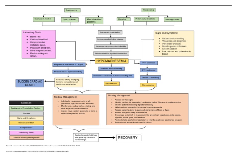 NCM112 HYPOMAGNESEMIA Pathophysiology PDF | PDF | Human Diseases And ...