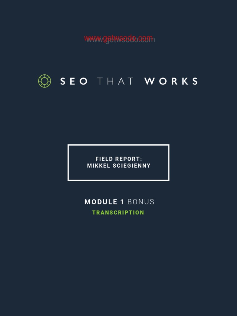 Module 1 Bonus Field Report Mikkel Sciegienny Transcription | PDF | Microsoft Excel | Computing