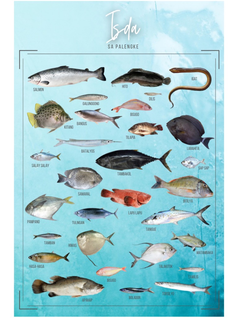 Ibat Ibang Uri NG Isda | PDF
