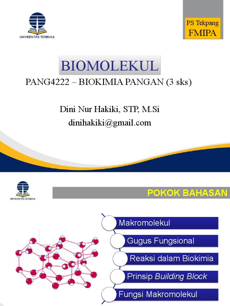 Struktur dan Fungsi Makromolekul | PDF | Sains & Matematika