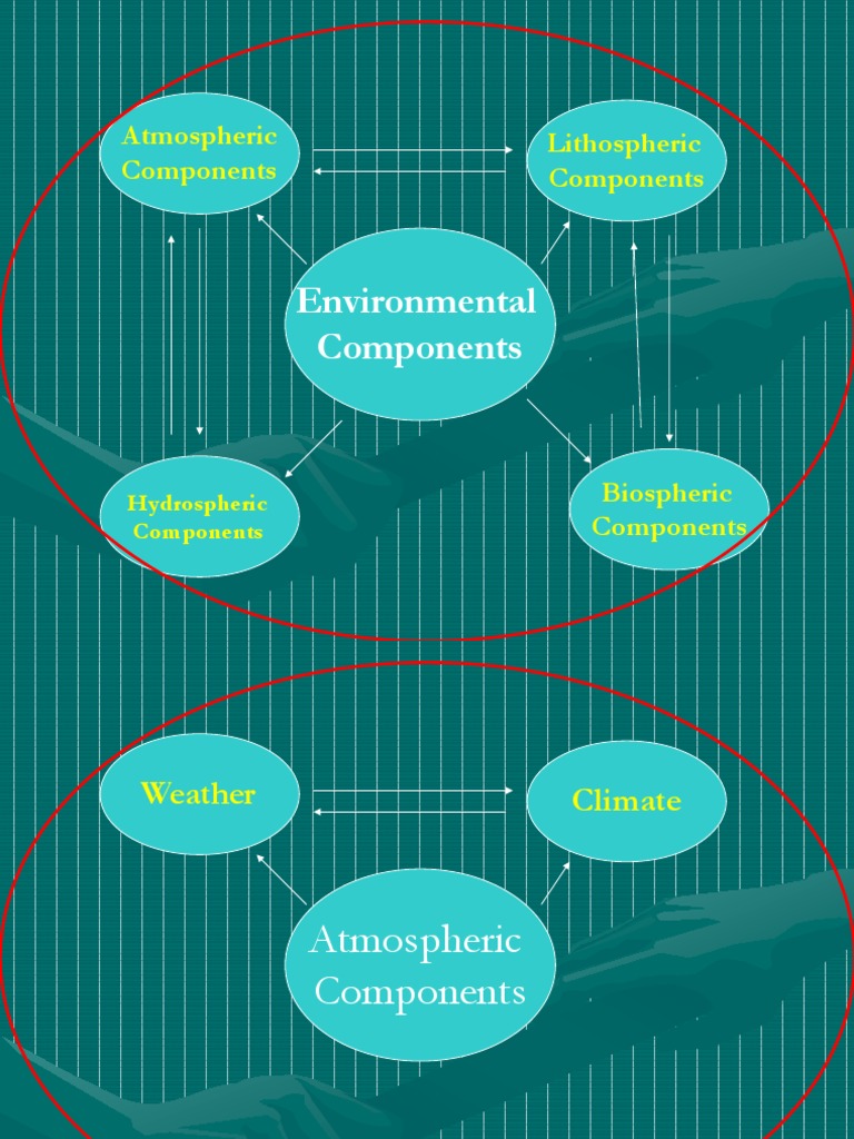 Key Environmental Components Explained | PDF
