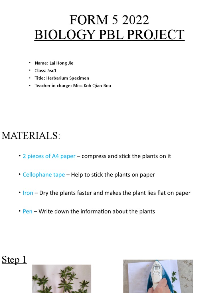 Bio PBL | PDF
