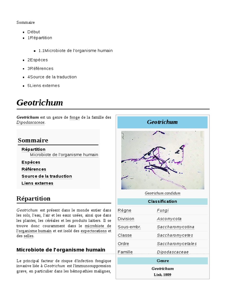 Infections fongiques par Geotrichum | PDF | Spécialités médicales ...