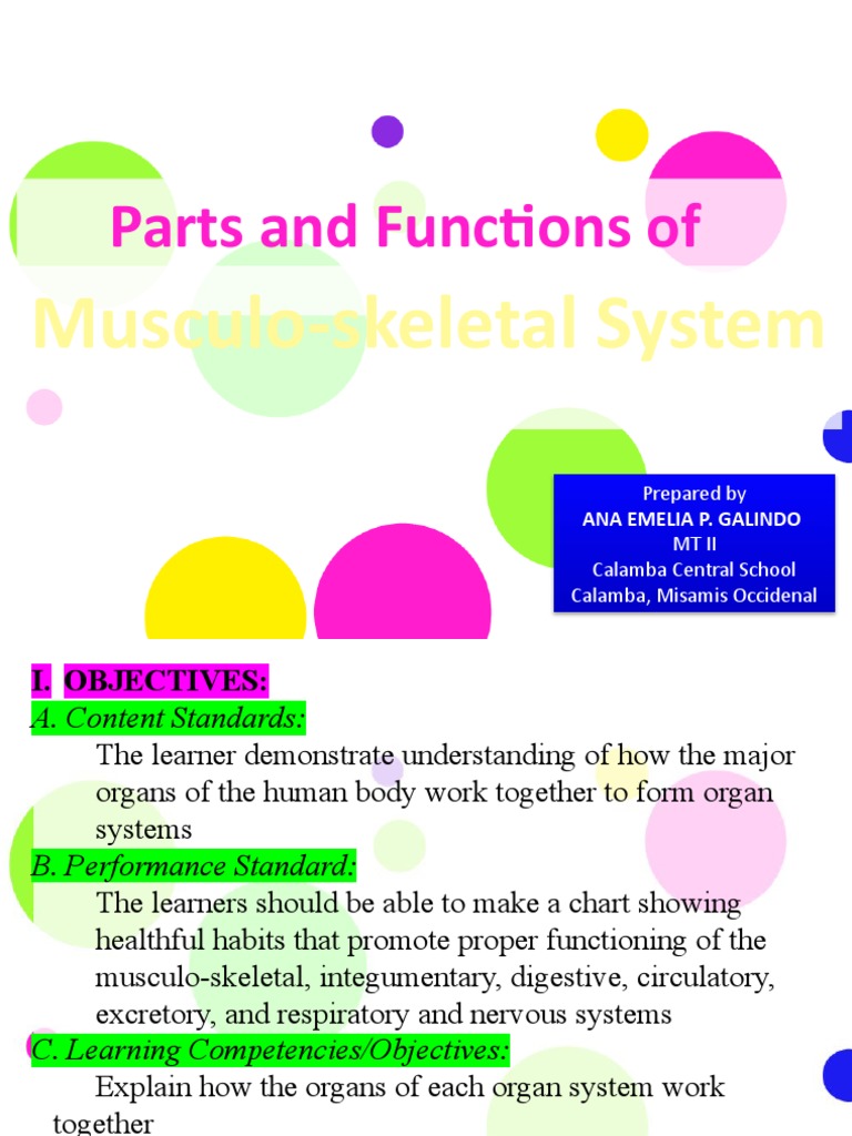 Parts and Function of Musculo-skeletal System Sir JP | PDF | Skeleton ...