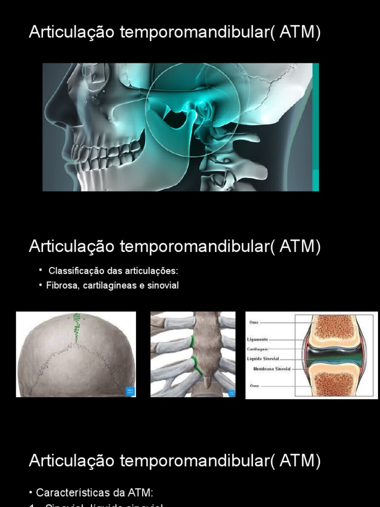 Aula 5 - Atm | PDF | Anatomia humana | Sistema Locomotor