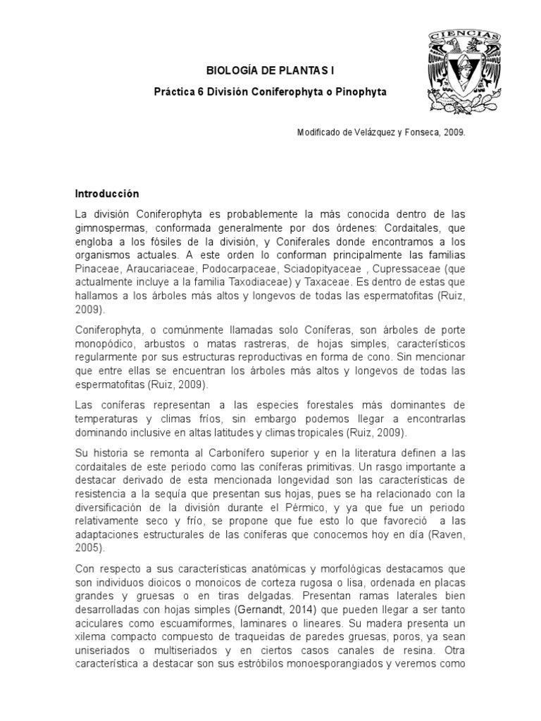 Coniferophyta: Estructura y Géneros | PDF | Ramas de la botánica ...
