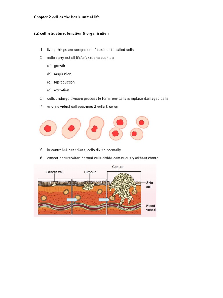 Chapter 2 Cell As The Basic Unit of Life | PDF | Cell (Biology) | Life