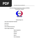 Inception Report Template Guide | PDF