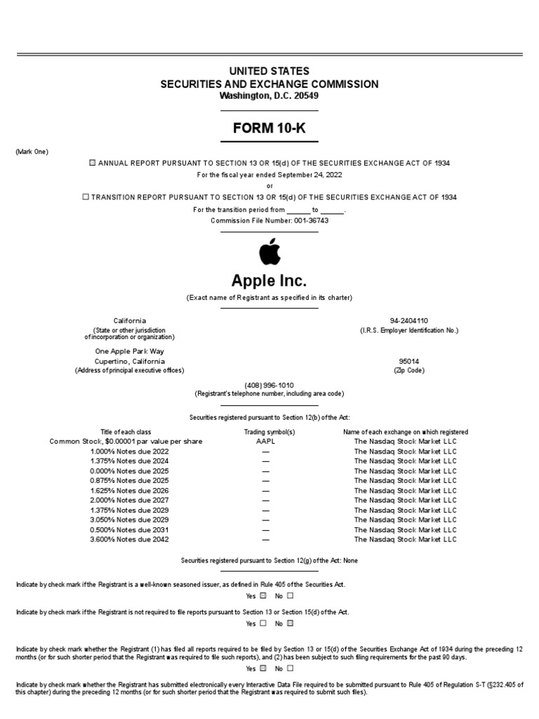 Apple Inc 10-K 2022 | PDF | Form 10 K | Supply Chain