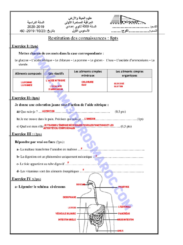 Devoir 1 Modèle 1 - SVT 3AC Semestre 1 Correction | PDF | Computers | Technology & Engineering