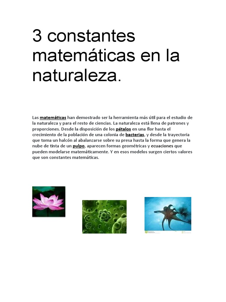 3 Constantes Matemáticas en La Naturaleza | PDF | Esfera | Pi