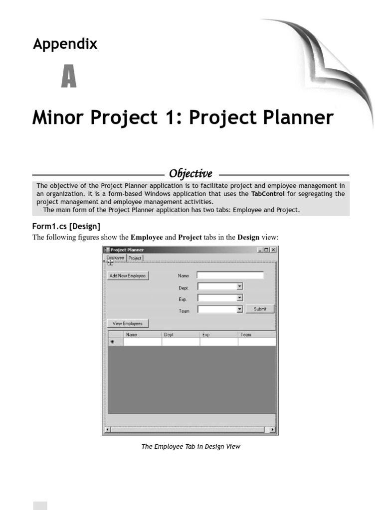 Minor Project 1 Project Planner | PDF | Microsoft Access | Tab (Gui)