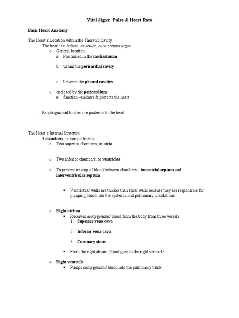 Basic Heart Anatomy | PDF