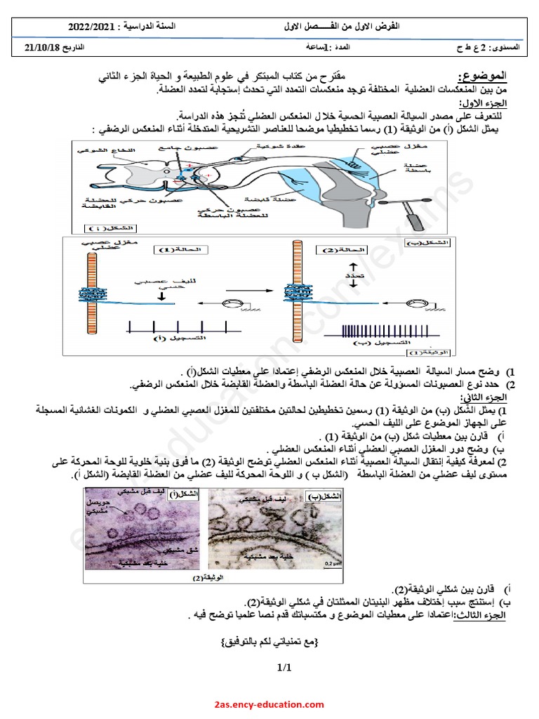 Dzexams 2as Sciences 3188443 | PDF