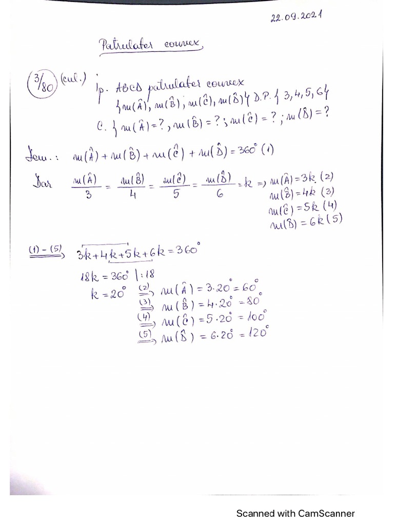 Patrulater Convex - Probleme | PDF