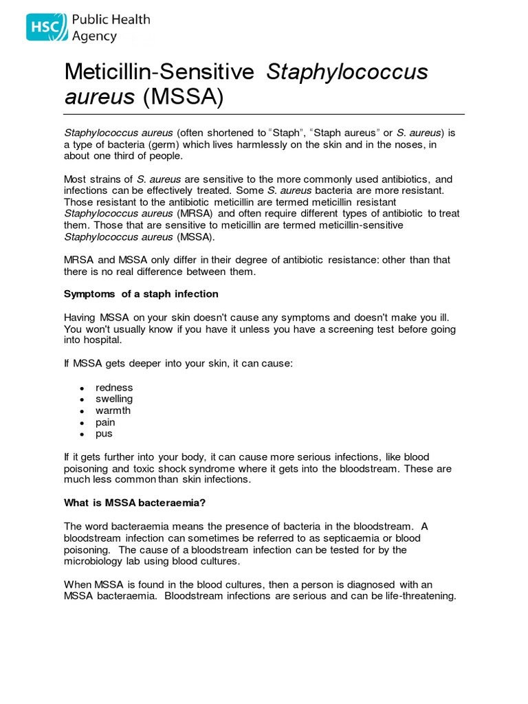 MSSA Information Factsheet | PDF | Staphylococcus Aureus | Staphylococcus