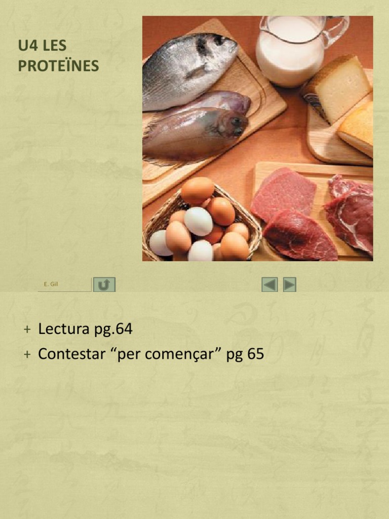 U4 Les Proteines | PDF