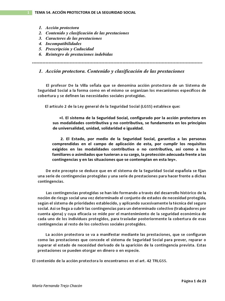 TEMA 54. LA ACCIÓN PROTECTORA (Julio 2021) - SUBRAYADO | PDF | Pensión ...