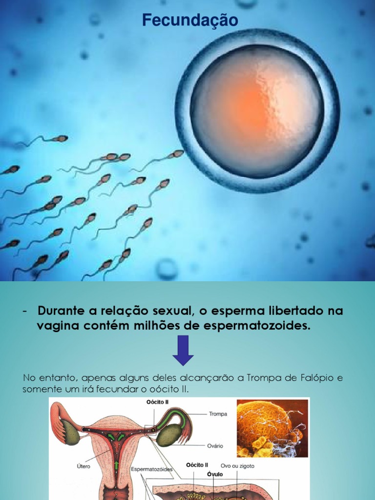 Fecundação | PDF | Fertilização | Processos biológicos