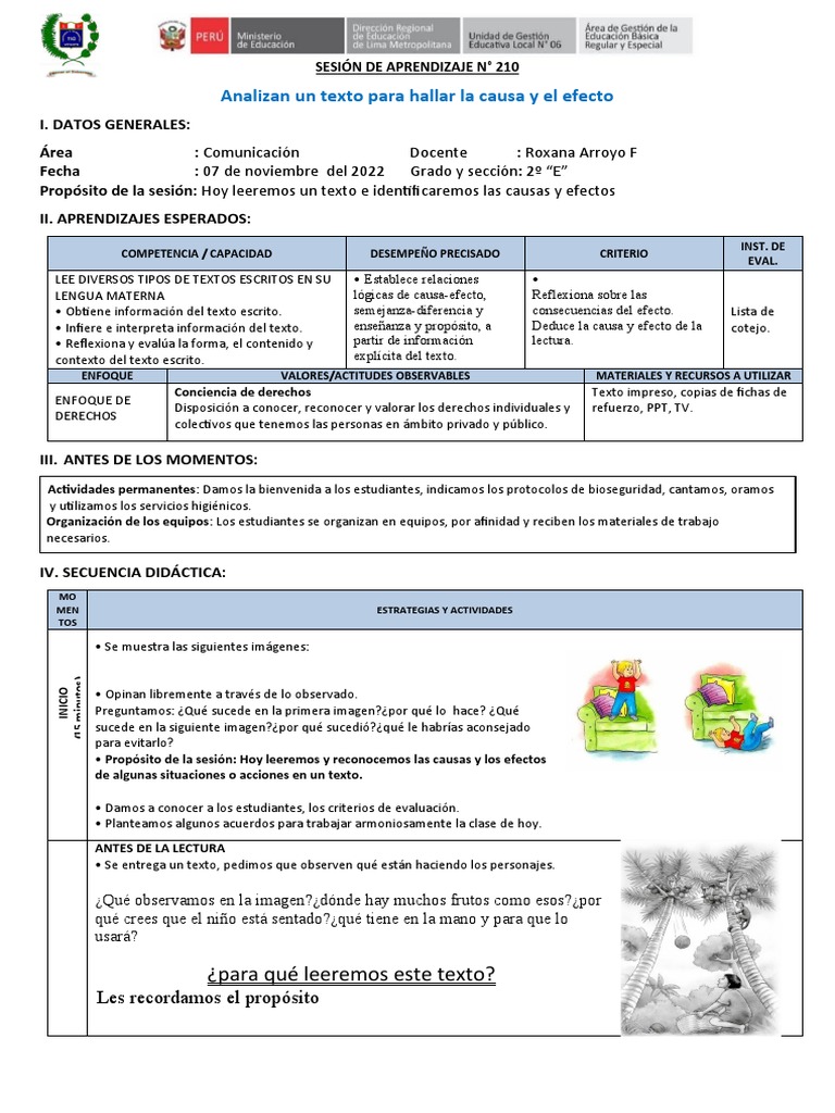 Causa y Efecto en Lectura para Niños | PDF | Evaluación | Aprendizaje