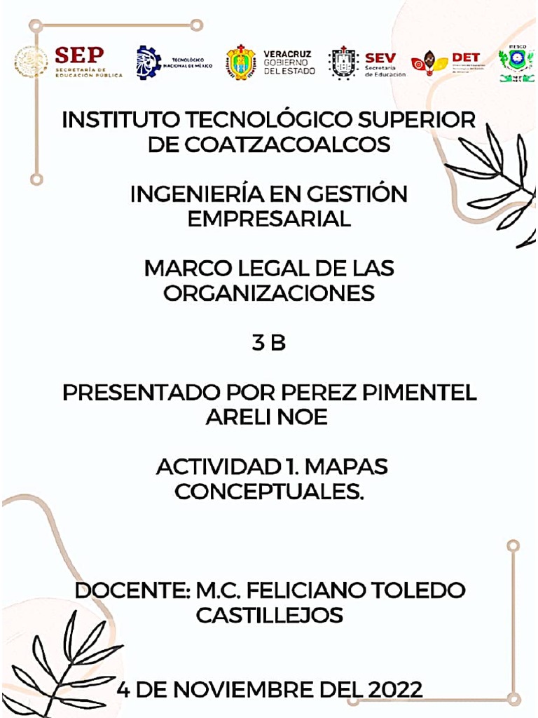 Actividad 1.mapas Conceptuales | PDF