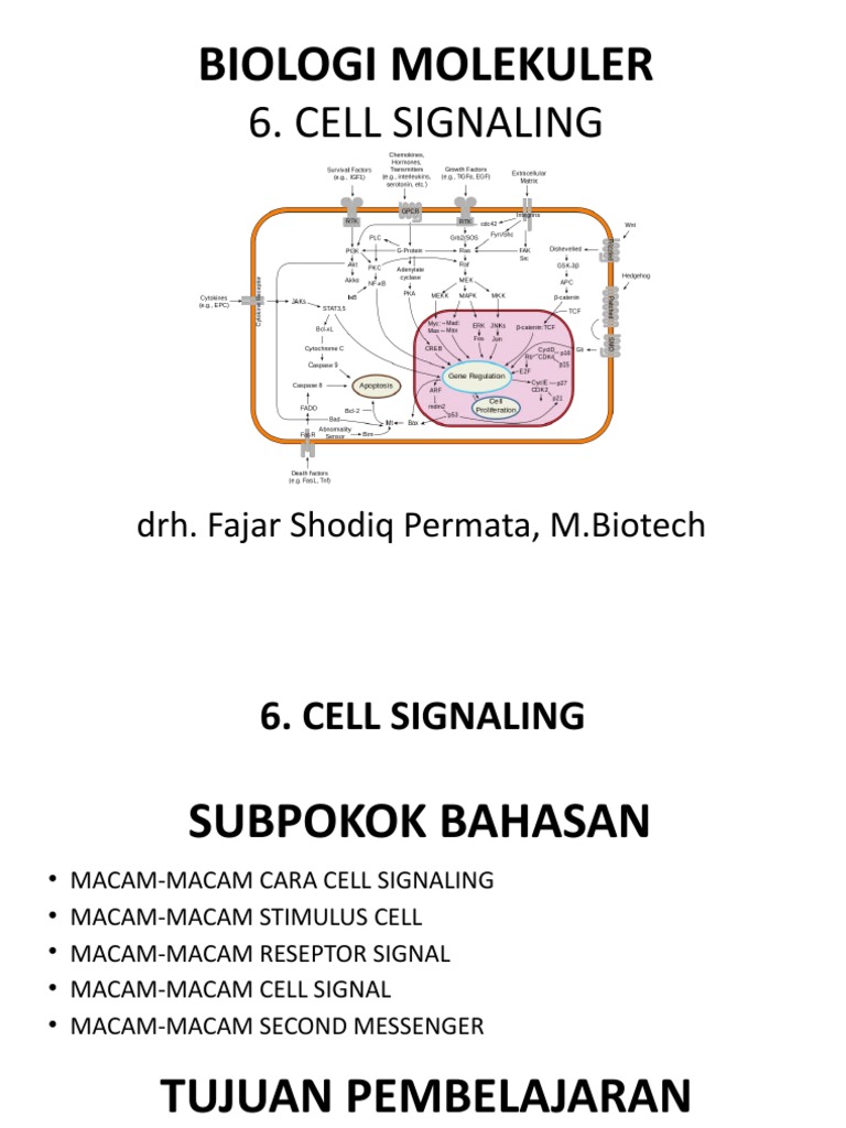 Cell Signaling | PDF | Signal Transduction | Cell Signaling