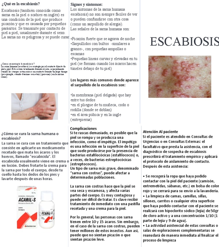 Síntomas, causas y tratamiento de la escabiosis | PDF | Blanqueador ...