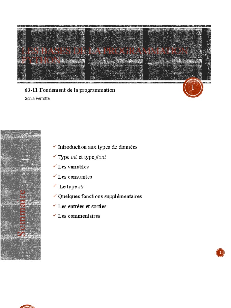 10 Les Bases | PDF | Python (Langage de programmation) | Chaîne de caractères