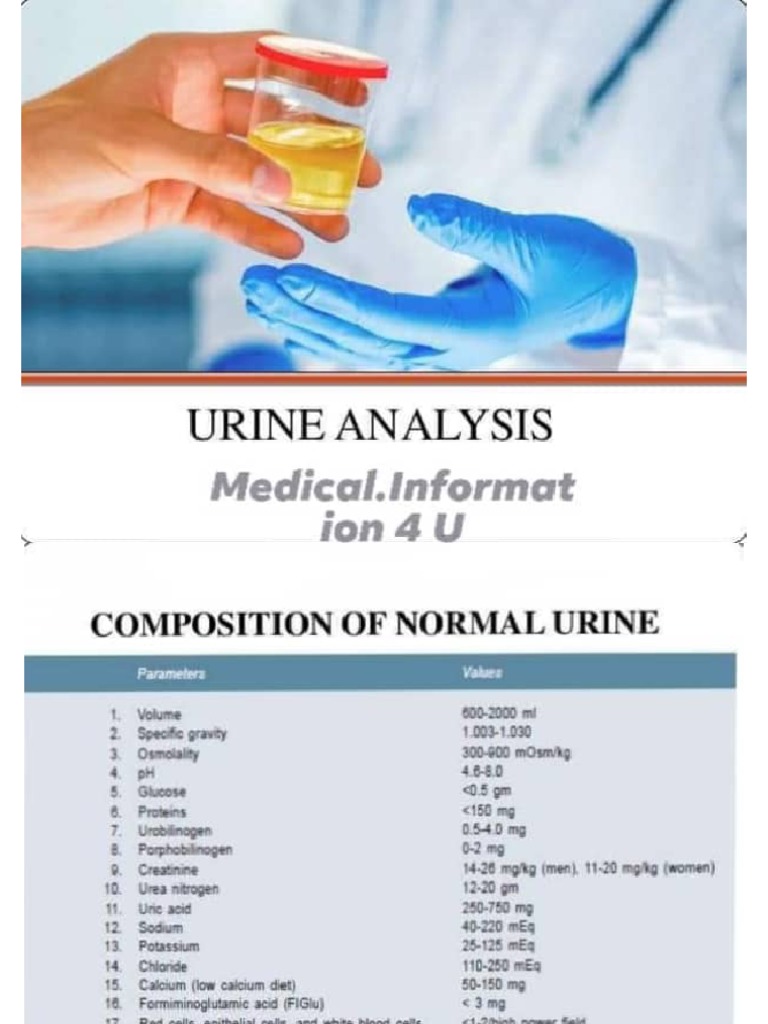 Urine Analysis | PDF
