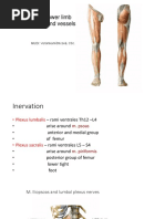 Biering-Sorenson Test - Physiopedia | PDF | Human Leg