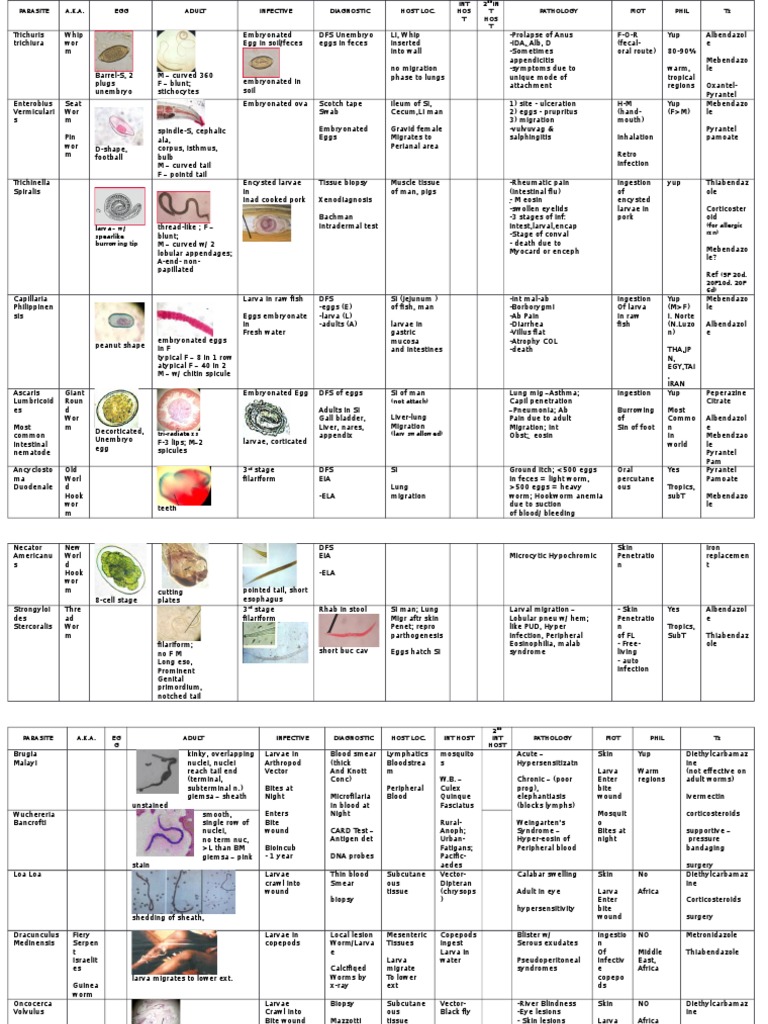 Parasitology Tables | PDF | Medical Specialties | Diseases And Disorders
