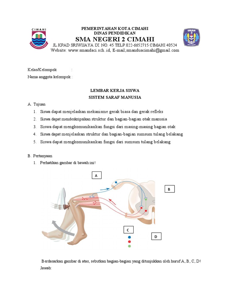 Mekanisme Gerak Biasa dan Refleks | PDF