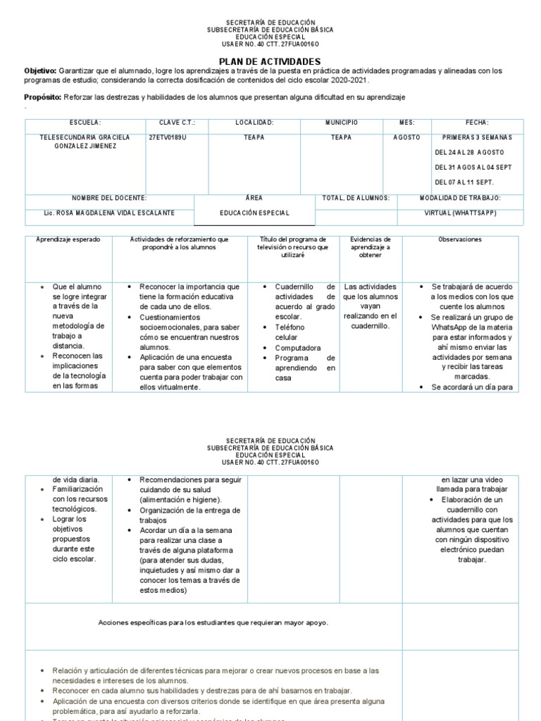 Plan de Trabajo. Reforzamiento - Educ. Especial | PDF | Educación especial | Modificación de ...