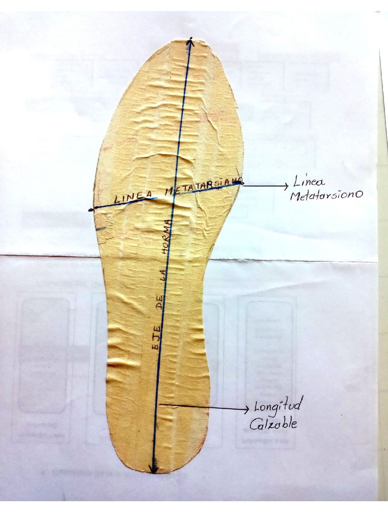 Molde para Patrones de Calzado Básico | PDF