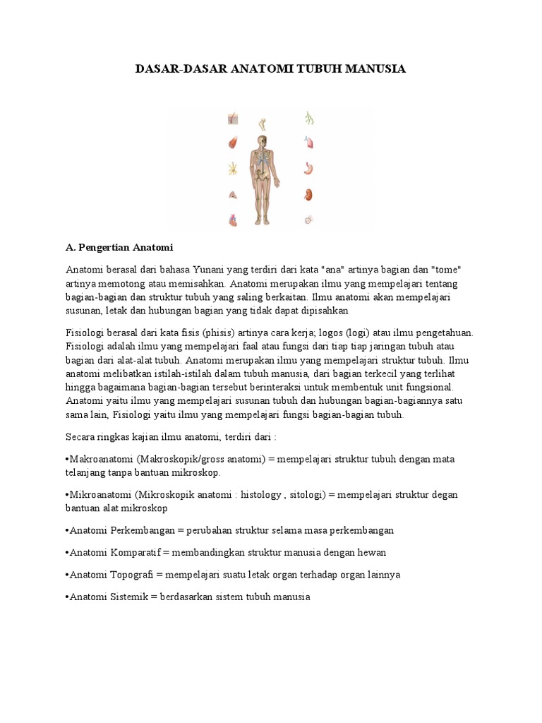 Anatomi Dasar Tubuh Manusia | PDF