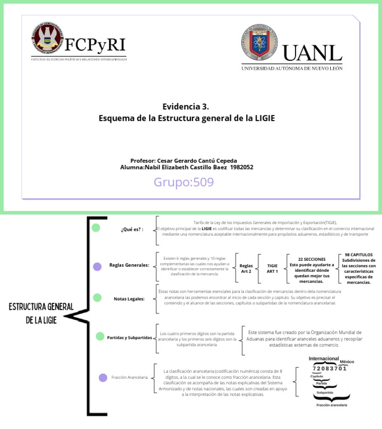 Evidencia 3. Esquema de La Estructura General de La LIGIE | PDF | Arancel | Comercio